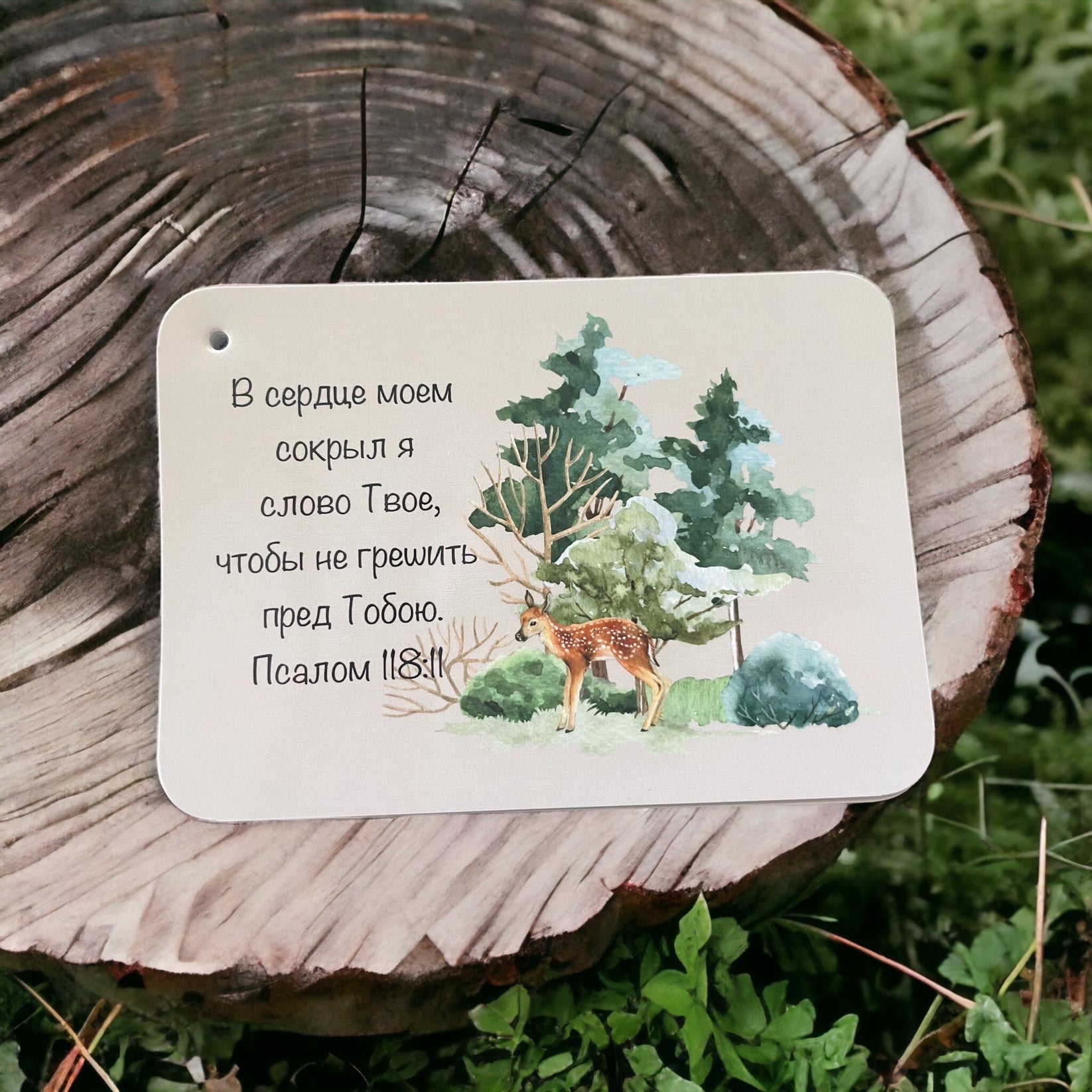 Russian Bible Verse Cards (Beginner Set 2) – livingwaterdesign