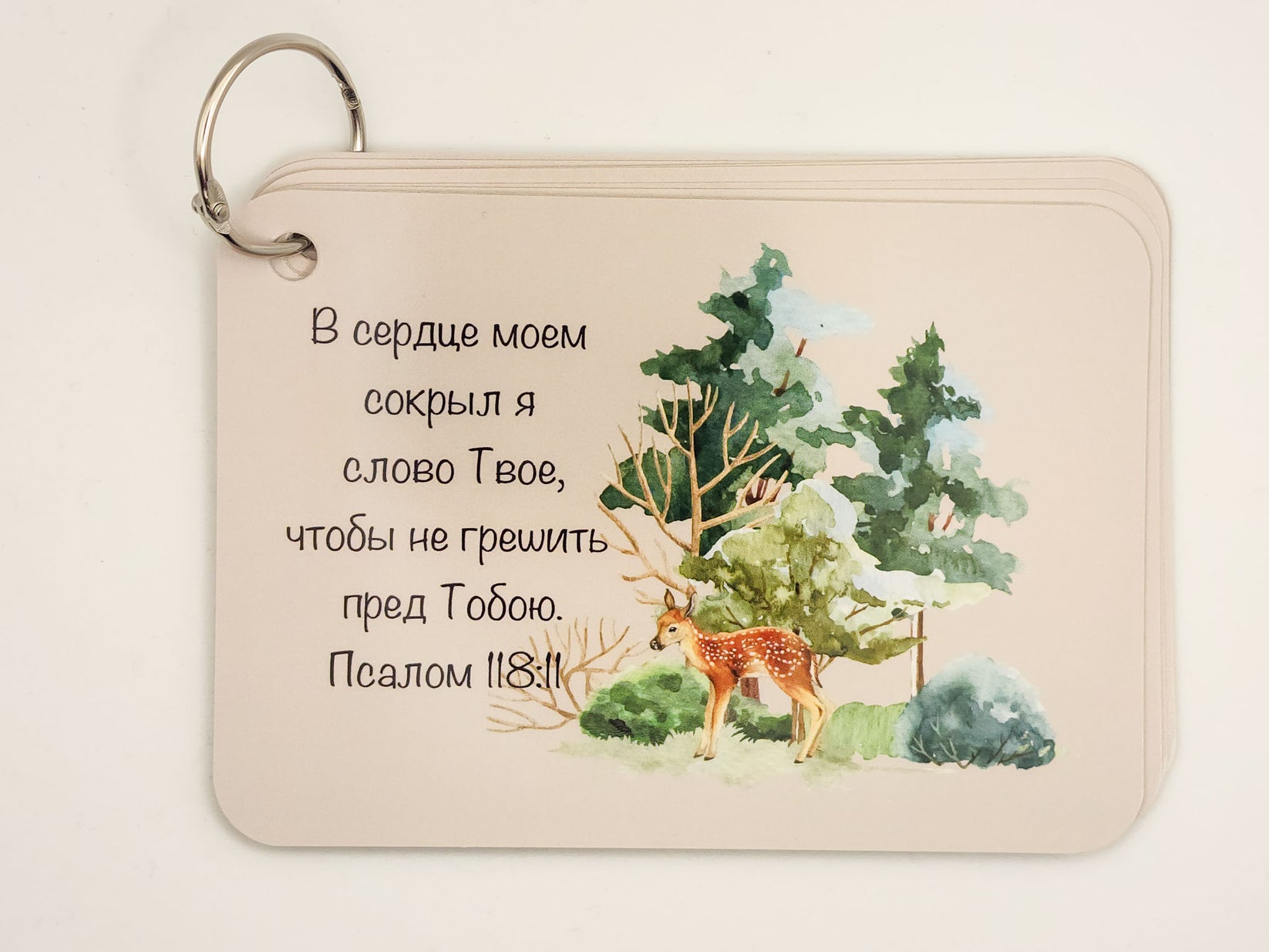 Russian Bible Verse Cards (Beginner Set 2) – livingwaterdesign