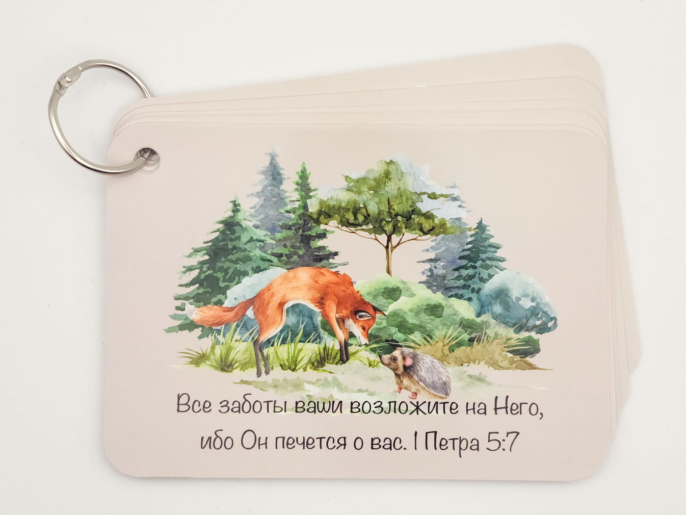Russian Bible Verse Cards (Beginner Set 2) – livingwaterdesign